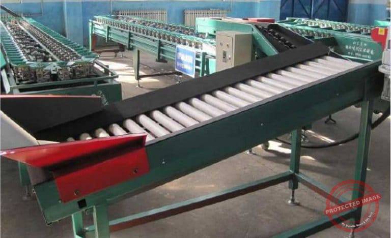 Automatic Round Vegetable Weight Grading Sorting Machine | Vegetable Processing Machine Manufacture