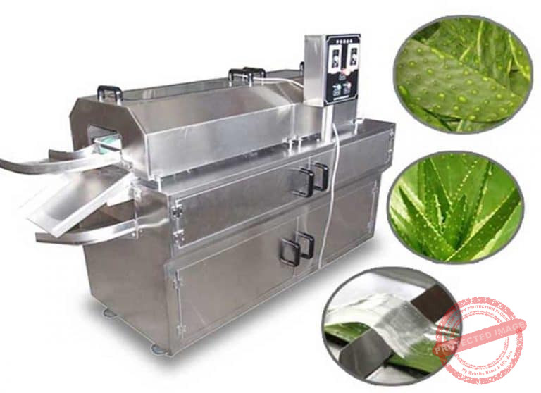 Automatic Aloe Vera and Cactus Peeling Machine | Vegetable Processing ...